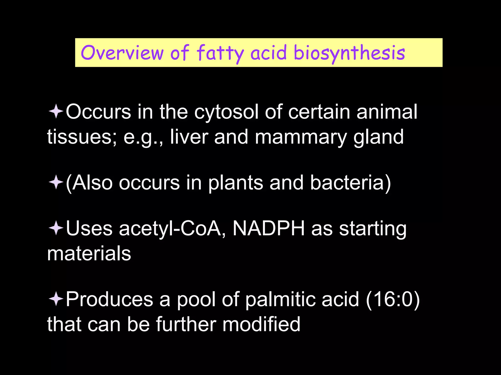 fatty acid synthesis.ppt