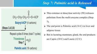 Fatty acid synthesis and regulation.pptx