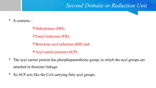 Fatty acid synthesis and regulation.pptx