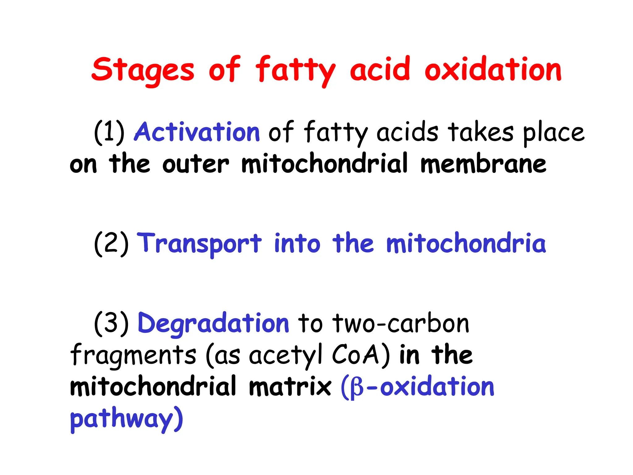 fatty acid synthesis & oxidation.ppt biochem | PPT