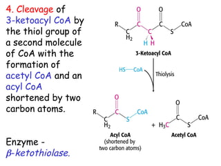 fatty acid synthesis & oxidation.ppt biochem | PPT