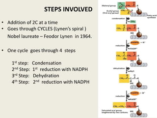 Fatty acid synthesis | PPTX