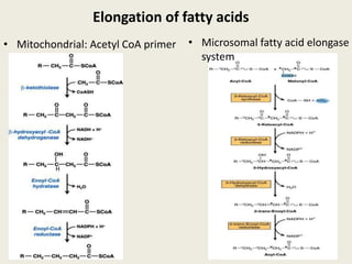 Fatty acid synthesis | PPTX