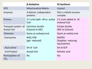 Fatty acid synthesis | PPTX