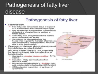 Fatty changes | PPTX