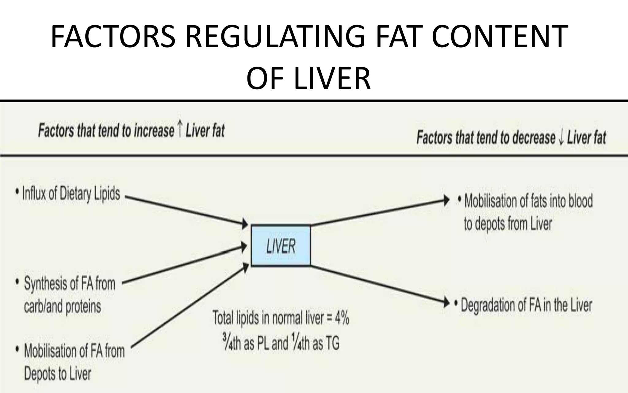 Fatty liver | PPTX