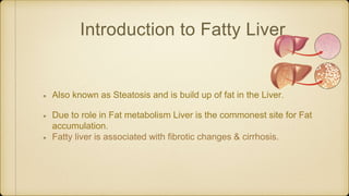 Fatty liver .pptx