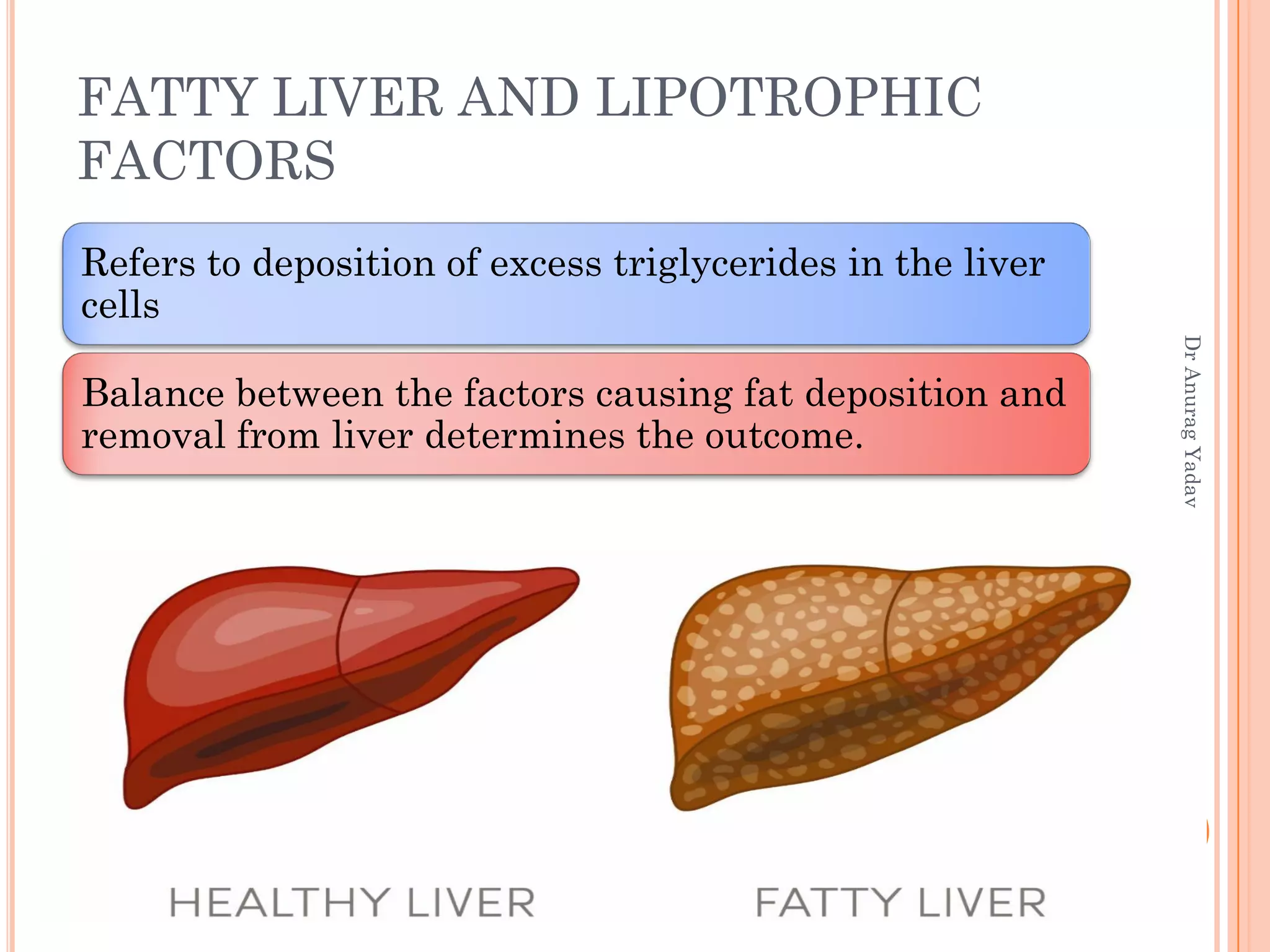 Fatty liver biochemistry by Dr. Anurag Yadav | PDF