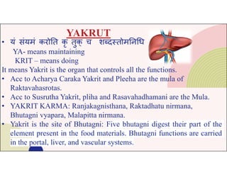 Fatty liver Ayurvedic Exploration PDF.pdf