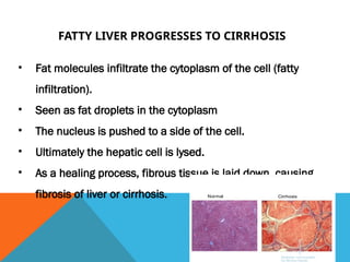 Fatty Liver: The Biochemical Perspective | PPTX