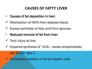 Fatty Liver: The Biochemical Perspective | PPTX