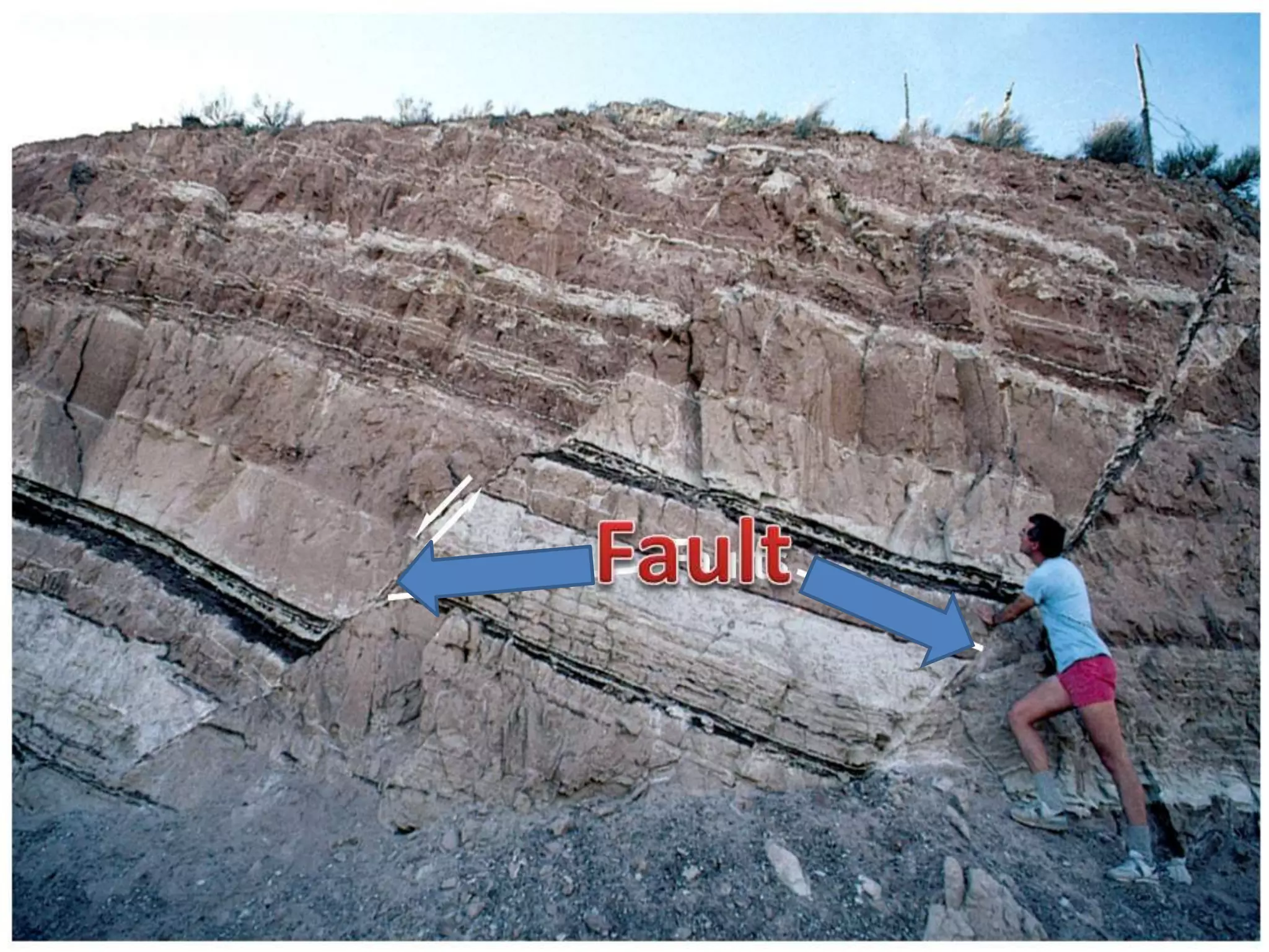 Fault - Parts & Types - Field Evidences | PPTX