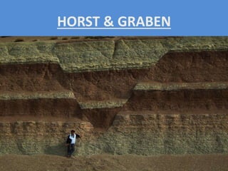 Fault - Parts & Types - Field Evidences | PPTX