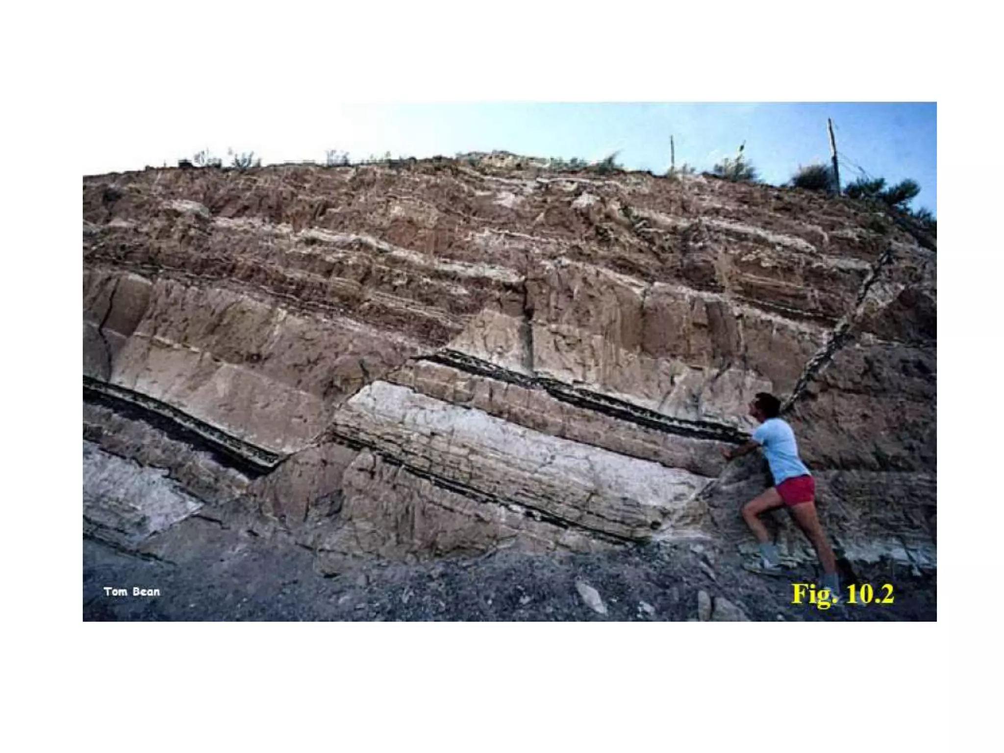 Faults and folding | PPTX | Geology | Science