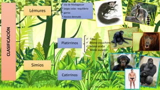 características generales de los mamíferos | PPTX