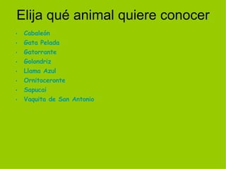 Fauna de Trengania | PPT