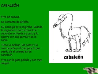 Fauna de Trengania | PPT
