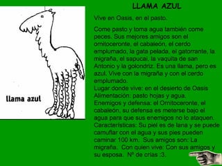 Fauna de Trengania | PPT | Descarga Gratuita