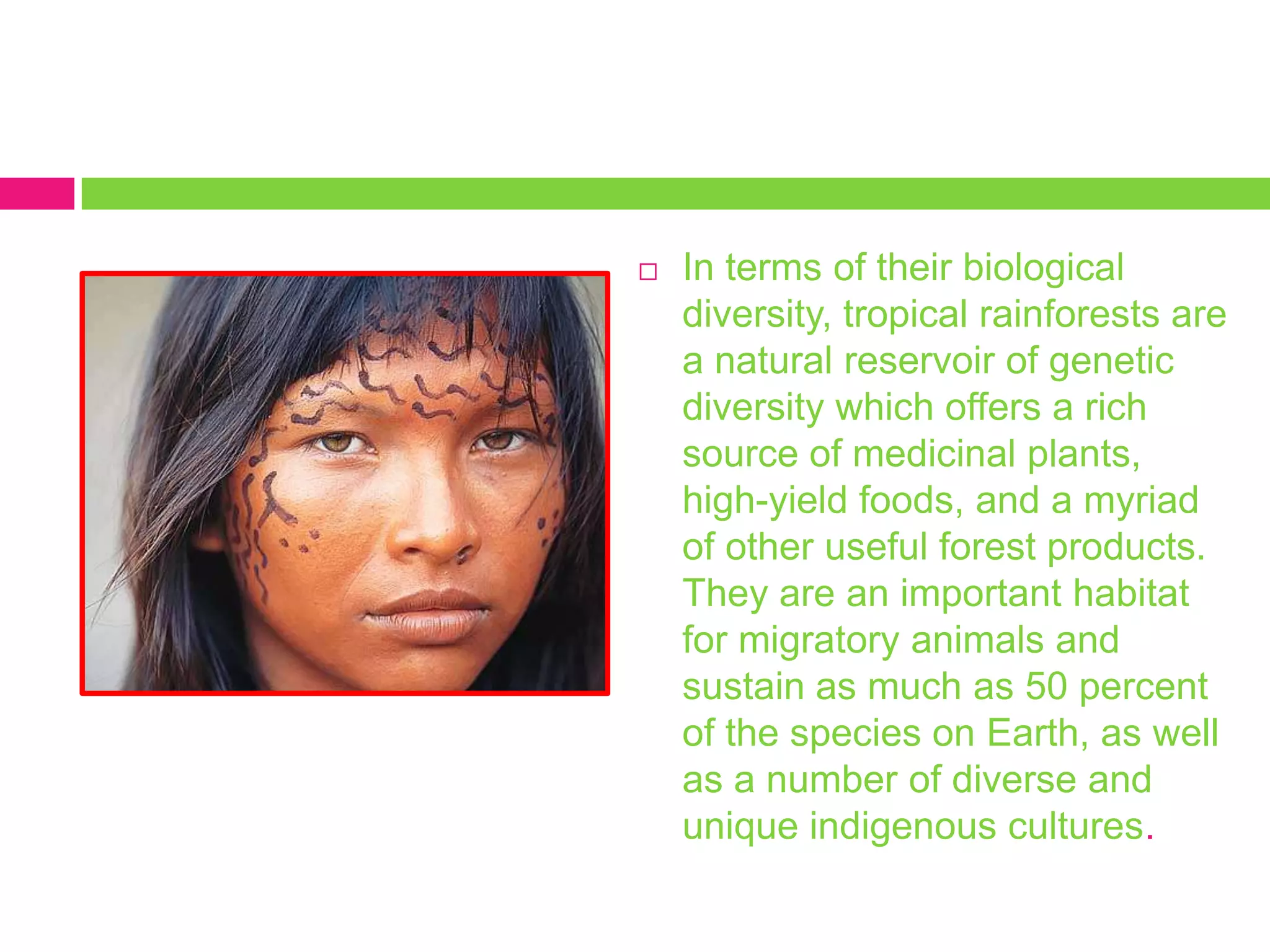 Fauna and vegetation of a tropical rainforest | PPT