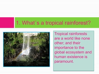 Fauna and vegetation of a tropical rainforest | PPT