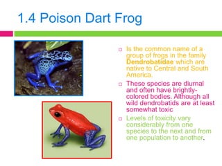 Fauna and vegetation of a tropical rainforest | PPTX