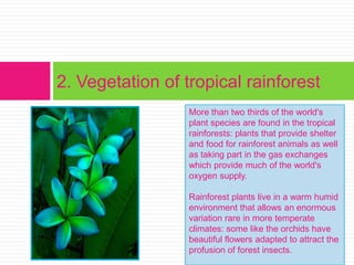 Fauna and vegetation of a tropical rainforest | PPT
