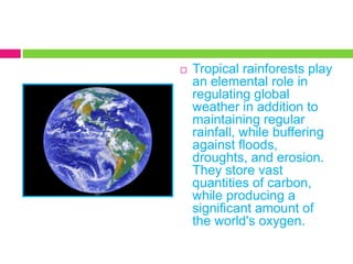 Fauna and vegetation of a tropical rainforest | PPTX
