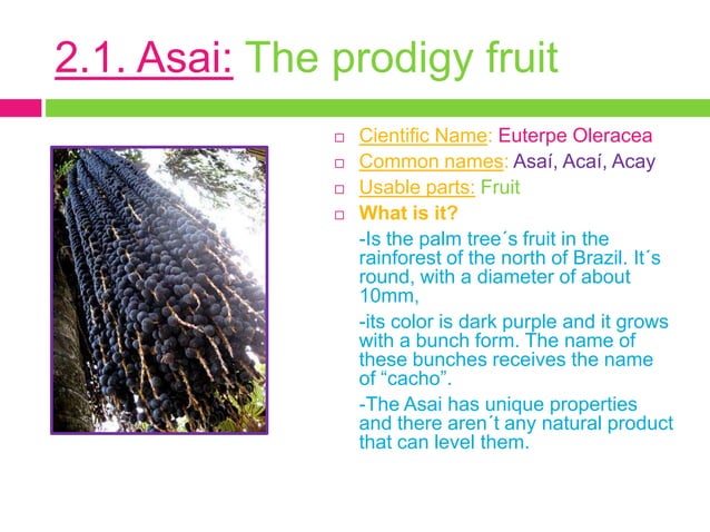 Fauna and vegetation of a tropical rainforest | PPT