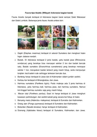 Fauna asiatis | DOCX
