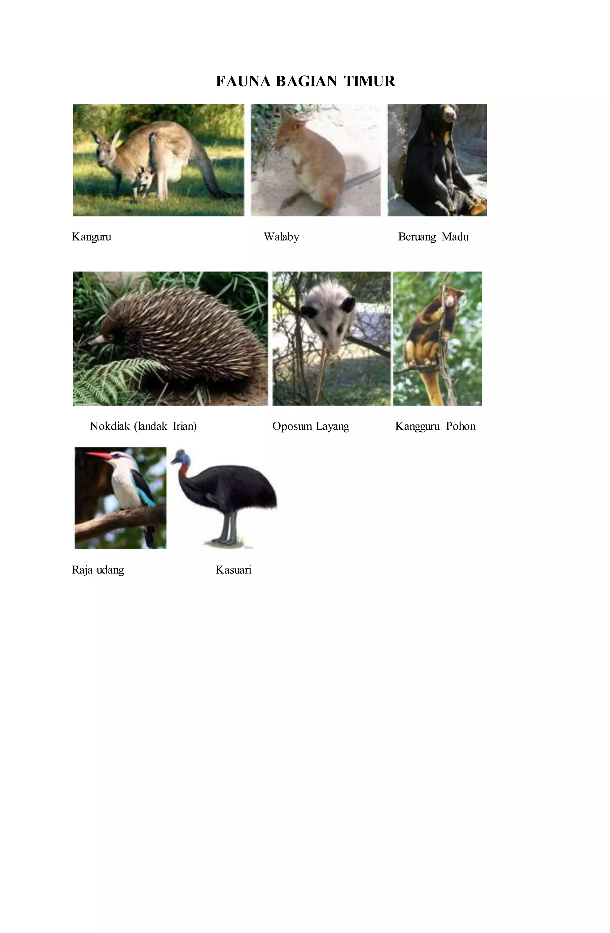 Fauna Bagian Timur Dan Barat | DOCX
