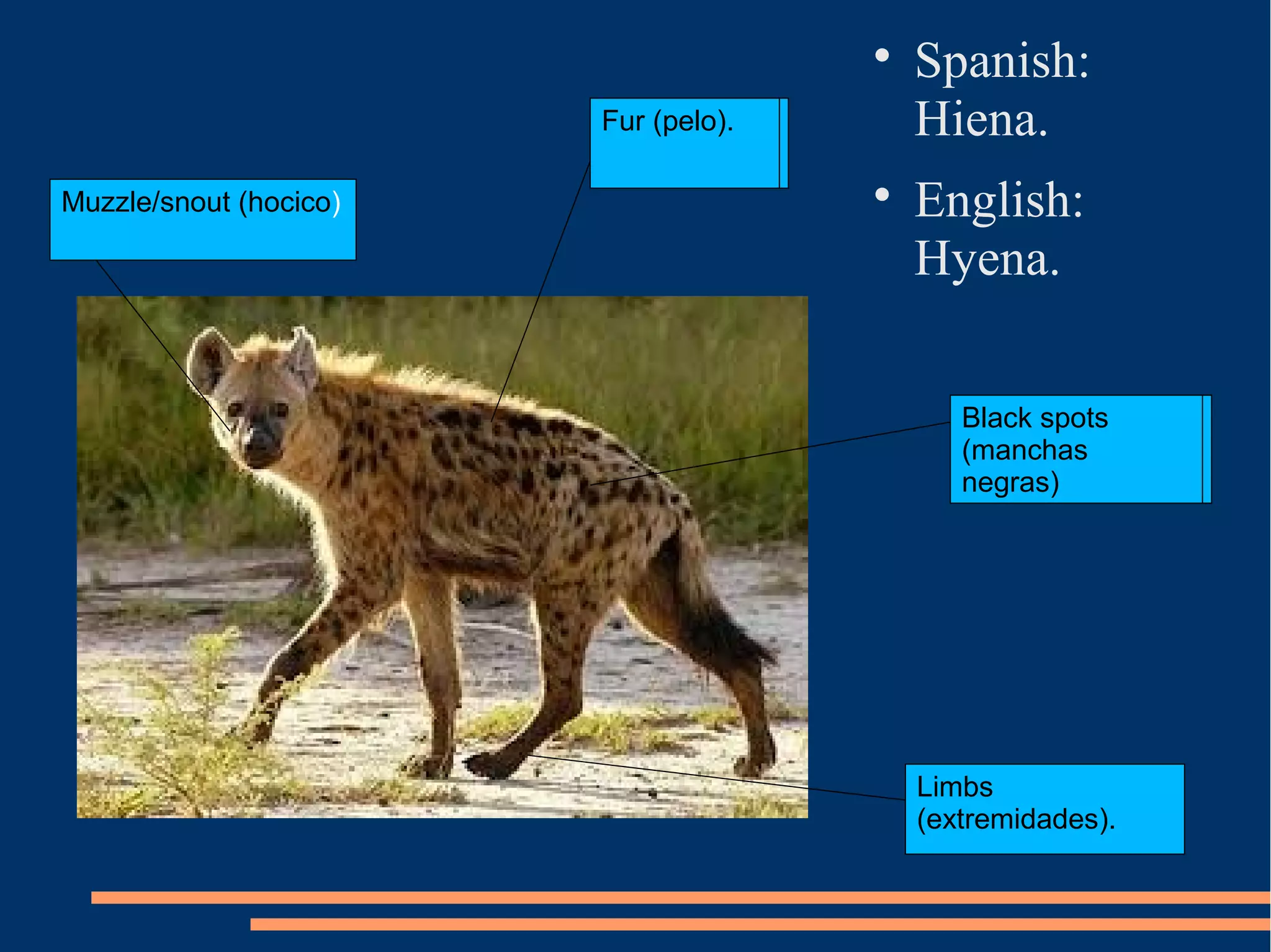 Warm Climates of the Earth Fauna | PPT