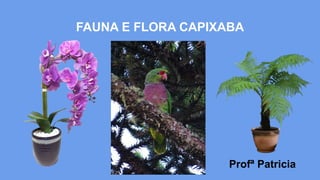 FAUNA E FLORA CAPIXABA GEOGRAFIA PROFESSORA PATRICIA.pptx