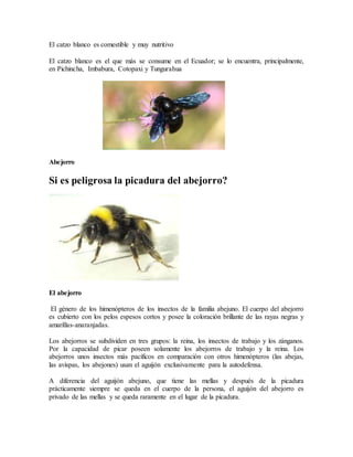 Fauna emblemática ecuatoriana de la región sierra | DOCX