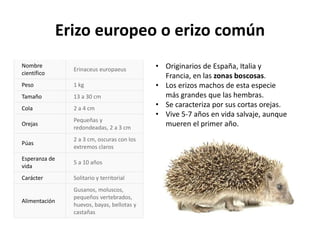 Fauna exotica | PPTX