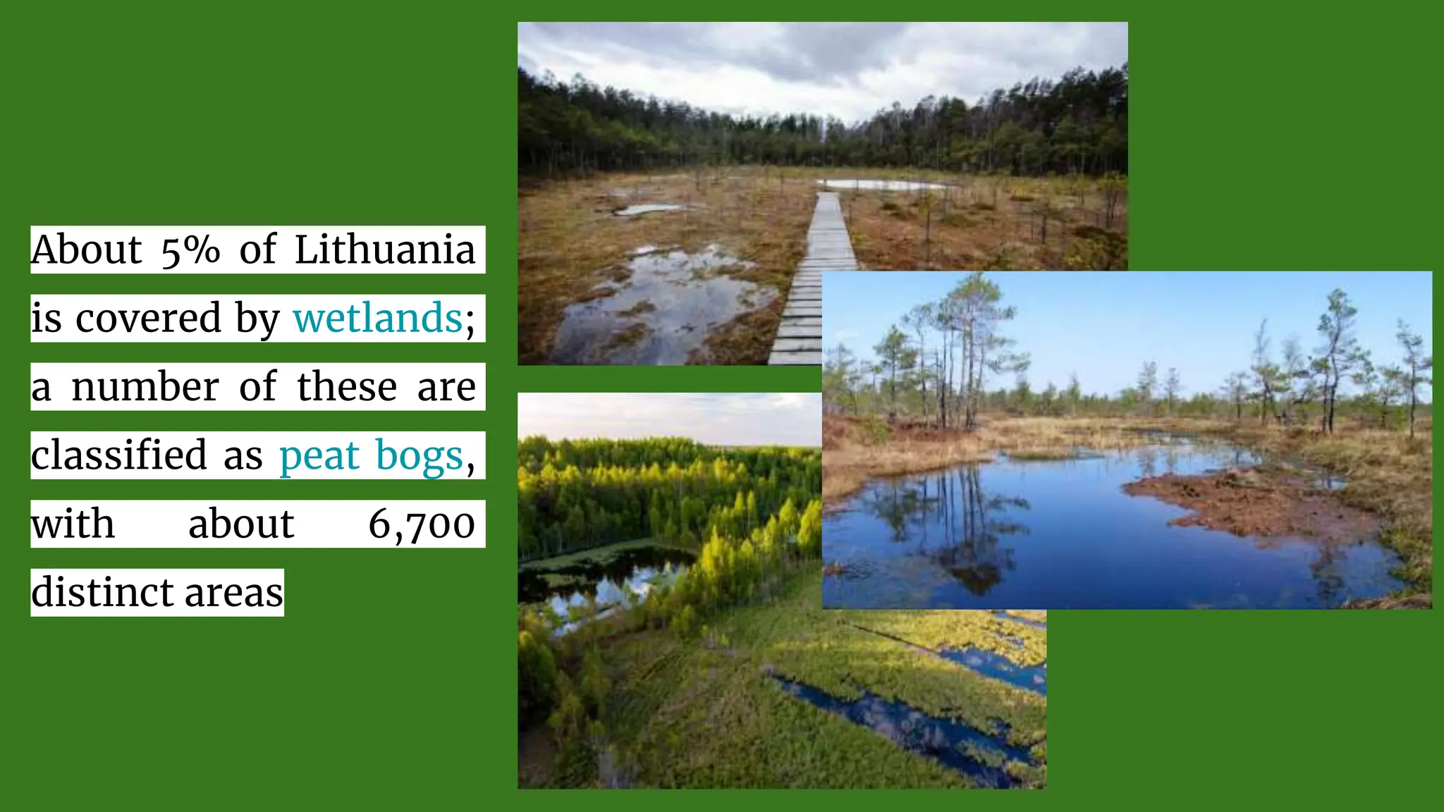 Fauna & Flora Lithuania.pptx