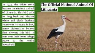 Fauna & Flora Lithuania.pptx