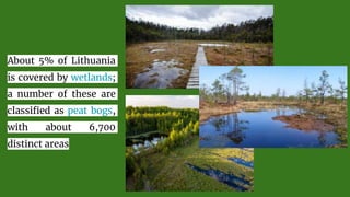Fauna & Flora Lithuania.pptx