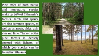 Fauna & Flora Lithuania.pptx