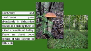 Fauna & Flora Lithuania.pptx