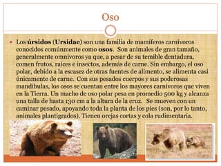 Presentacion | PPSX