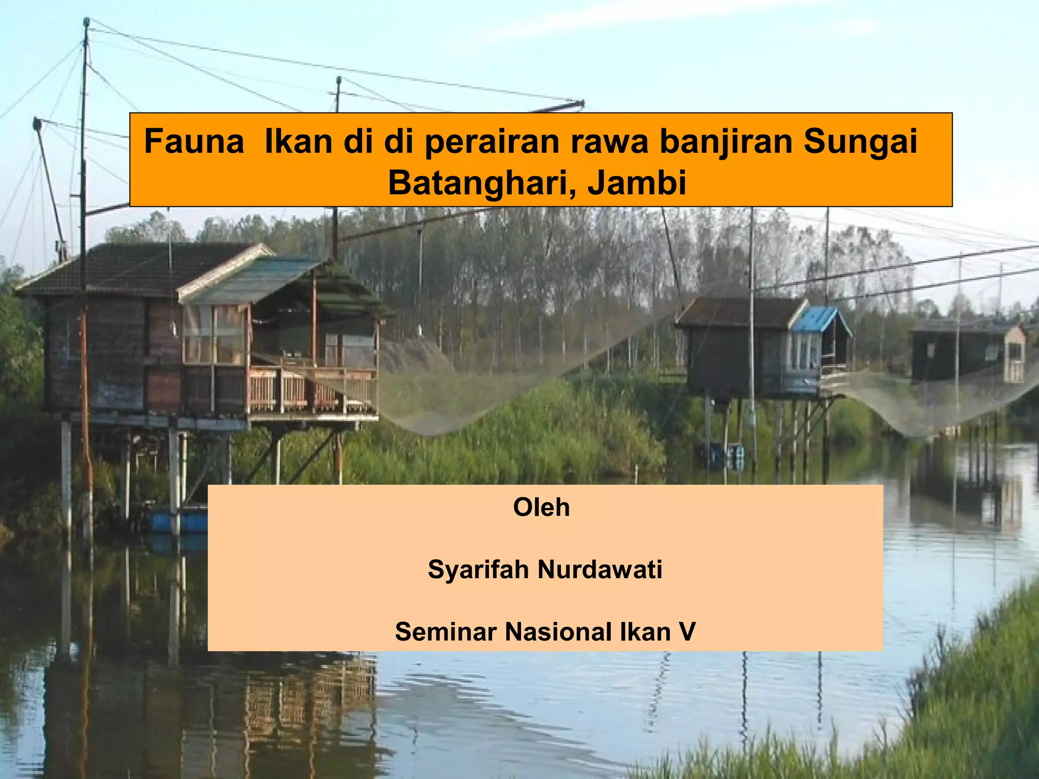 Fauna ikan di perairan rawa banjiran jambi | PPT