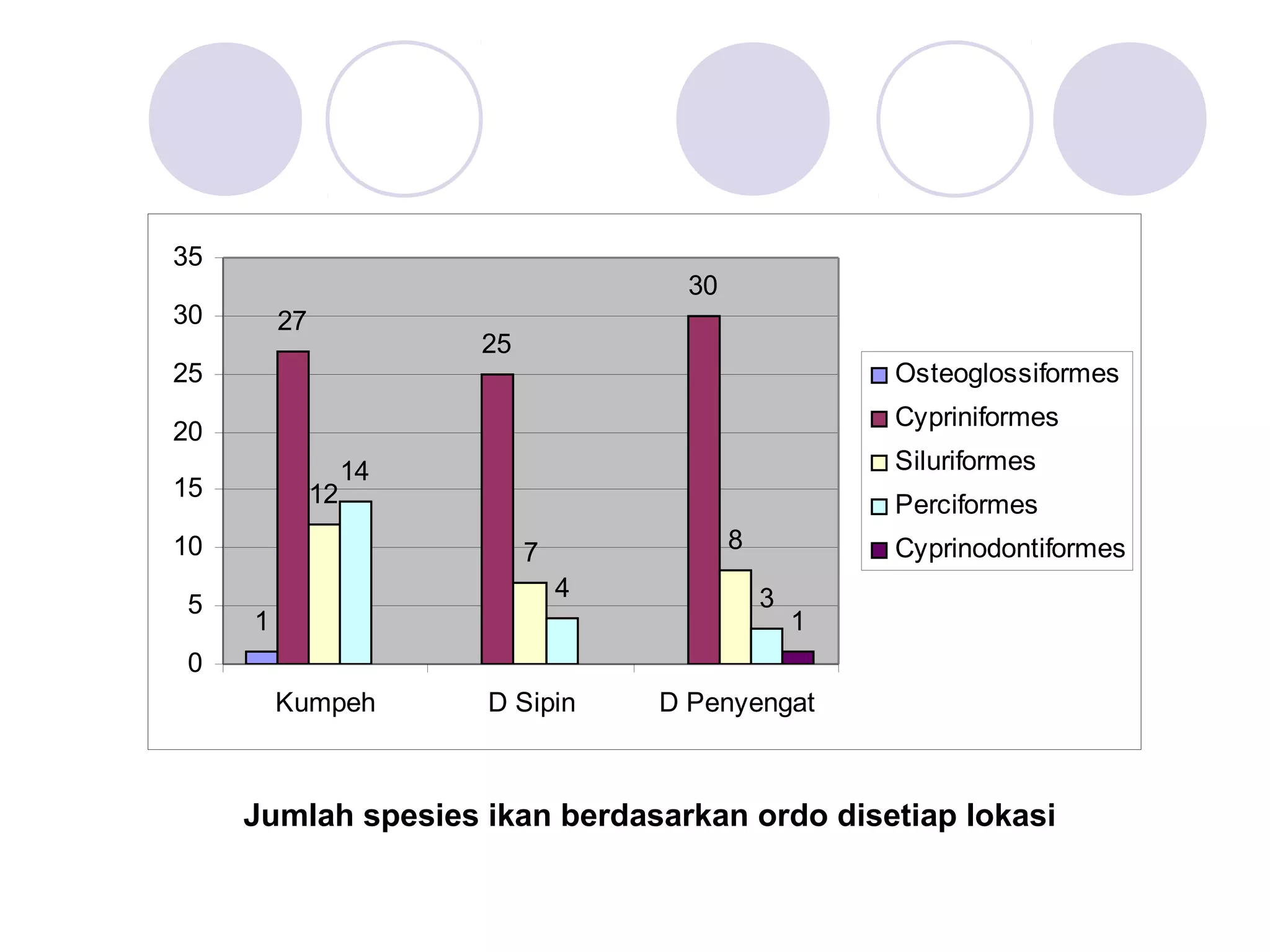Fauna ikan di perairan rawa banjiran jambi | PPT