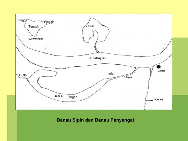 Fauna ikan di perairan rawa banjiran jambi | PPT