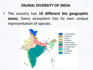 Faunal diversity | PPTX