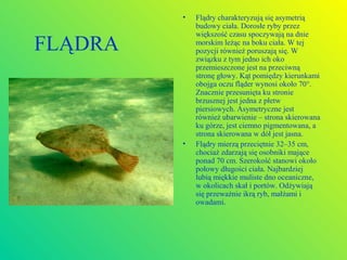 Fauna Morza Bałtyckiego | PPT