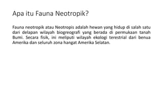 Fauna Neotropik (penjelasan, contoh, dan wilayah persebaran).pptx