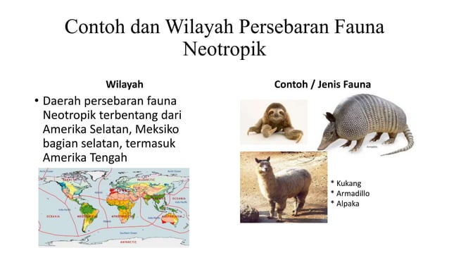 Fauna Neotropik (penjelasan, contoh, dan wilayah persebaran).pptx