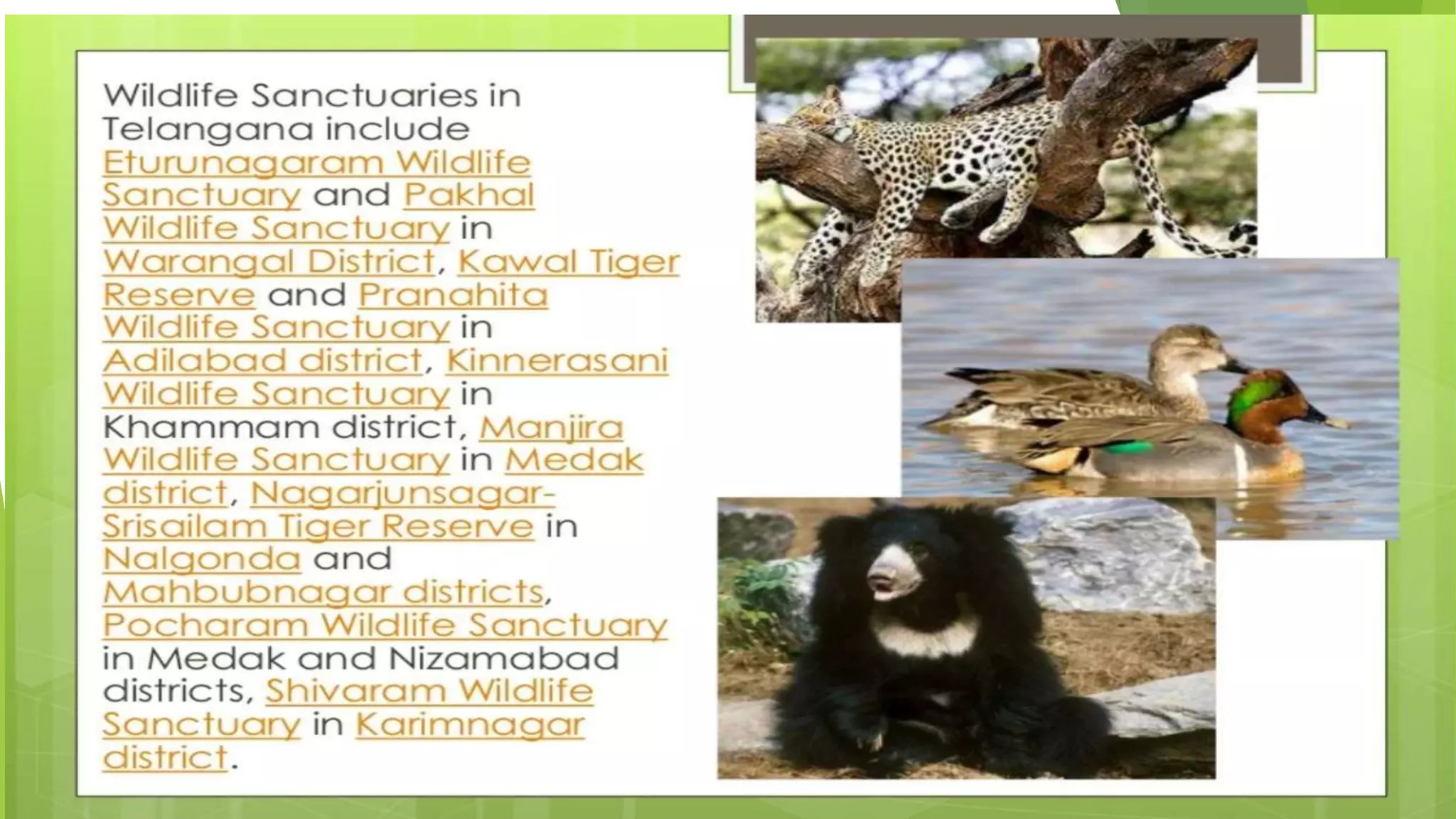 FAUNA OF TELANGANA Main presentation.pptx