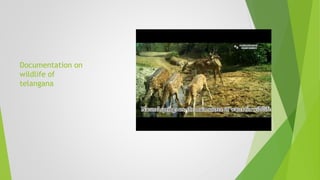 FAUNA OF TELANGANA Main presentation.pptx