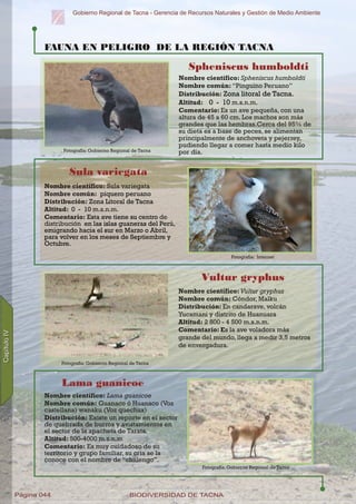 Fauna tacna 2 | PDF